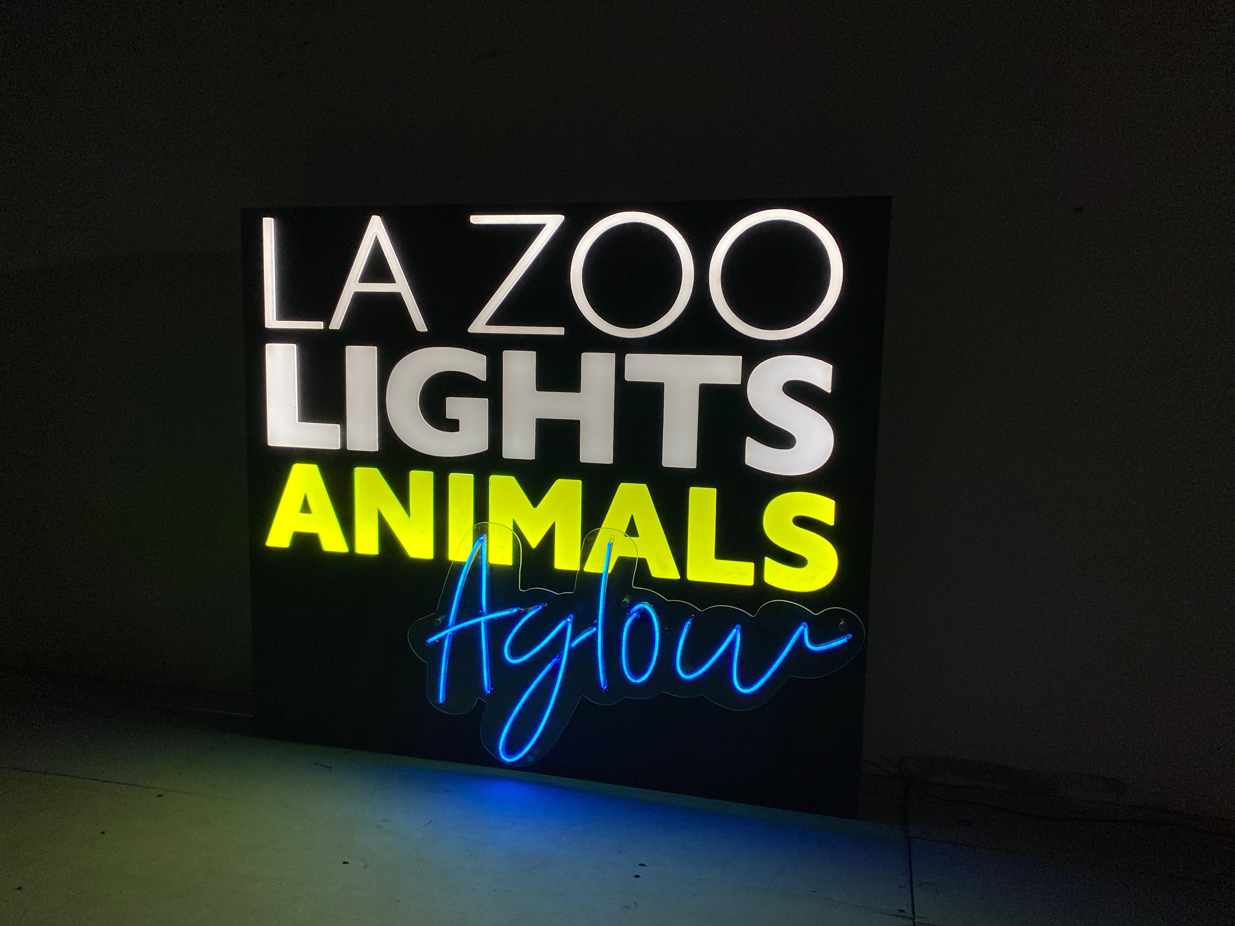 Neon Lights | Neon Signs | Neon Name Sign | LED Signs for Business ...